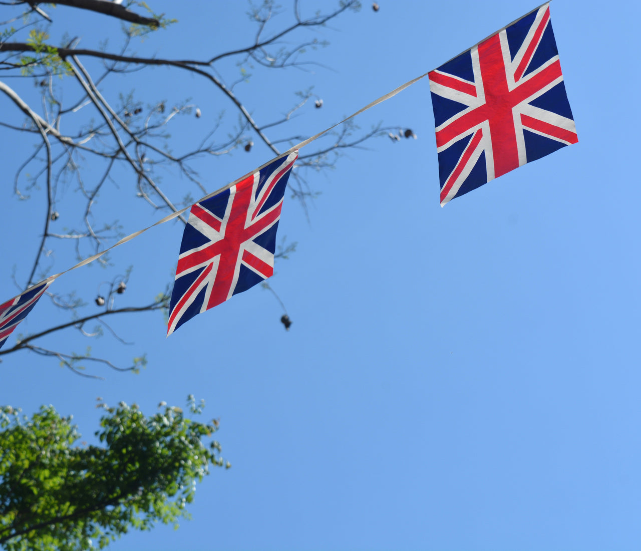 The Legal Status of Poppers: UK vs US | Prowler Poppers